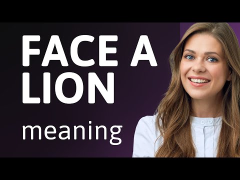 Facing a Lion: Understanding English Idioms