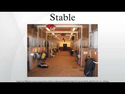 Stable