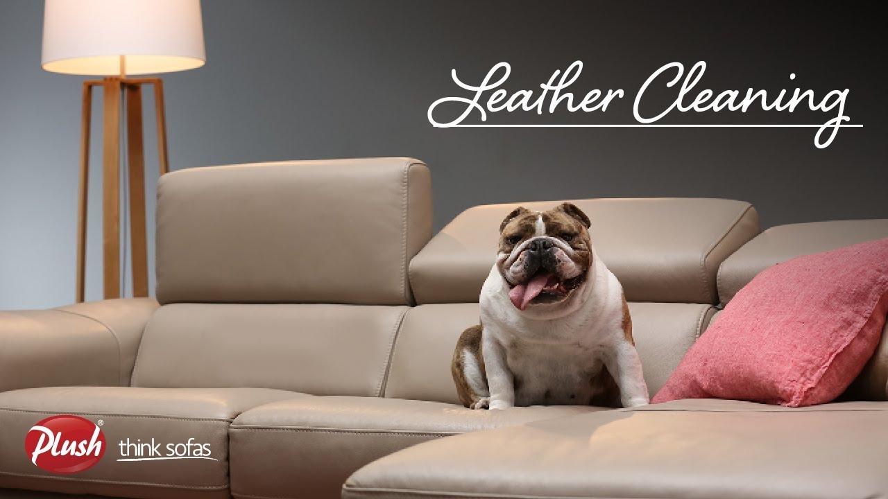 Plush FAQ: Leather Sofa Care