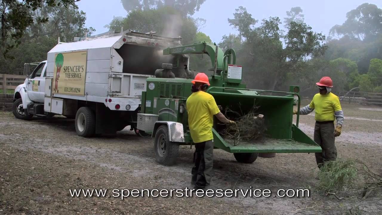 Spencer's Tree Service