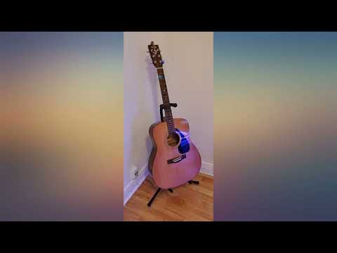 Fender Adjustable Guitar Stand, Black//Red review