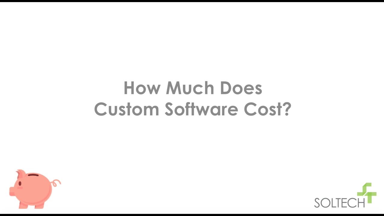 How Much Does Custom Software Cost? | SOLTECH