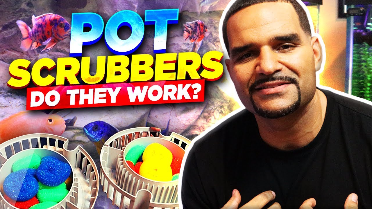 Pot Scrubbers For Bio Media - 6 Months Conclusion