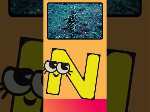 ABC Camouflage Ocean Animals Song 🐠 | A to Z Sea Creatures in Disguise | Learn with UZR Kids #shorts
