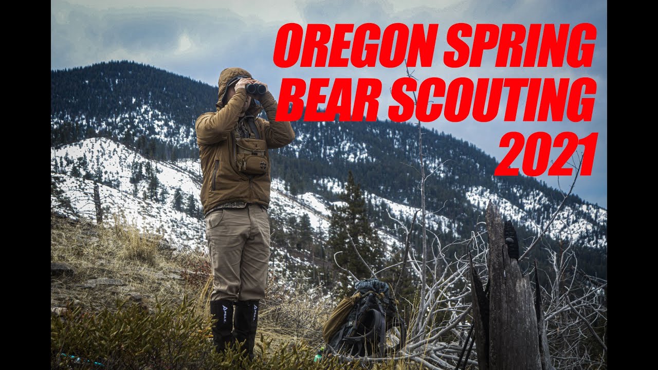 Oregon Spring Bear Scouting Trip - March 2021