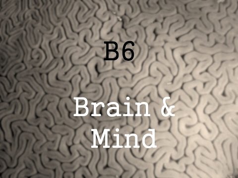 GCSE Biology Key Words OCR Additional Science B6 - Brain and Mind