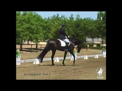 The Free Walk with Lilo Fore | YourDressage.org