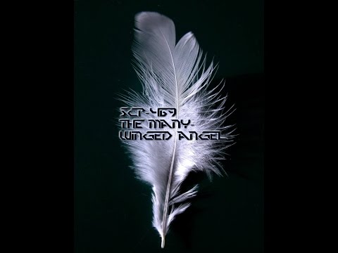 Agent Zero's SCP Audio Files - SCP-469 (The Many-Winged Angel)
