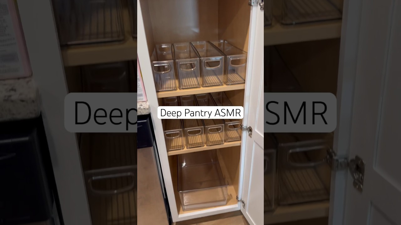 Deep Pantry ASMR #pantryorganization #asmr #organization #asmrsounds #pantry #organizer #organize
