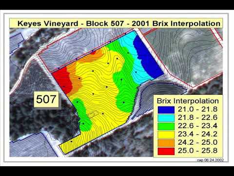 2008 Triggs International Premium Vinifera Lecture Series - Daniel Roberts