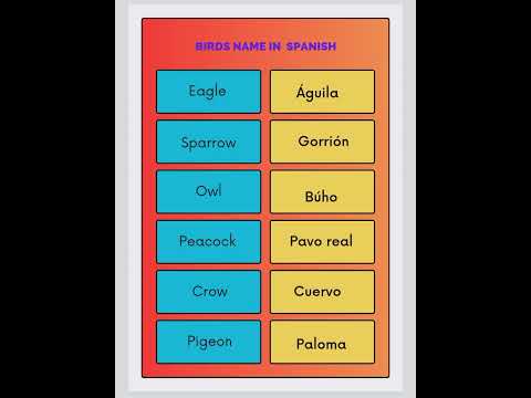 Birds name in Spanish 🦅🦢🕊️