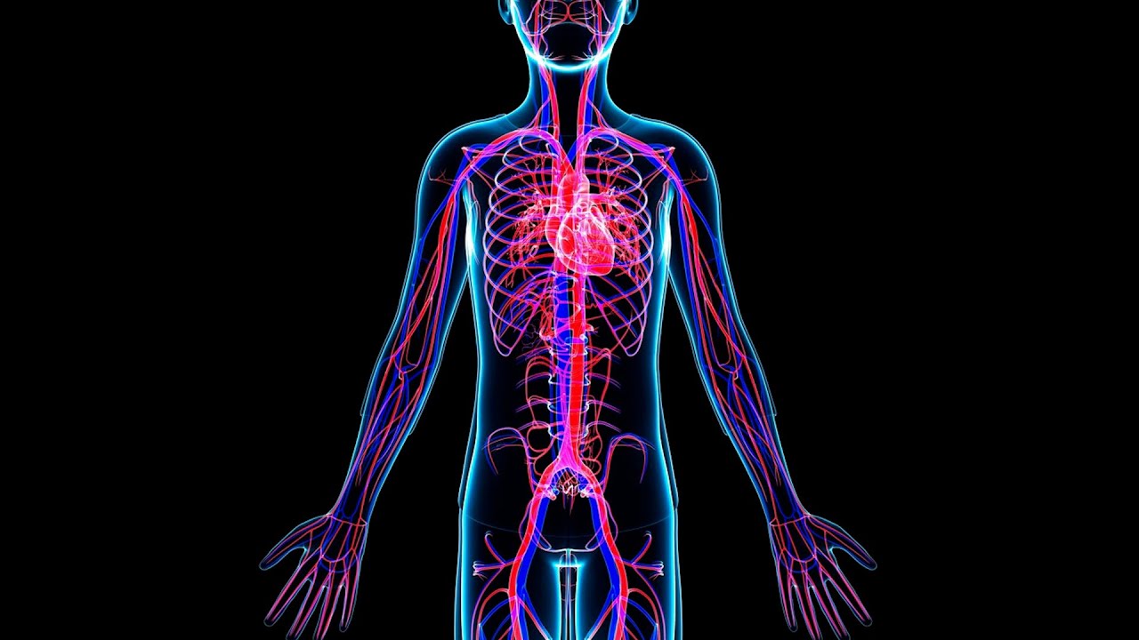Mayo Clinic Minute: How vasculitis affects the body