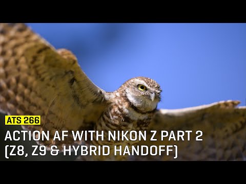 Nikon Z9 & Z8: Action autofocus settings (1669)