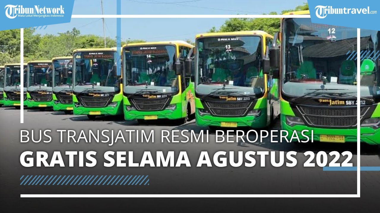 Bus Trans Jatim resmi beroperasi, gratis hingga akhir Agustus 2022 ... Bus Trans Jatim resmi beroperasi, gratis hingga akhir Agustus 2022 ...