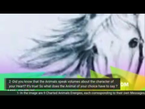 The Horse Message, Meaning and Symbolism