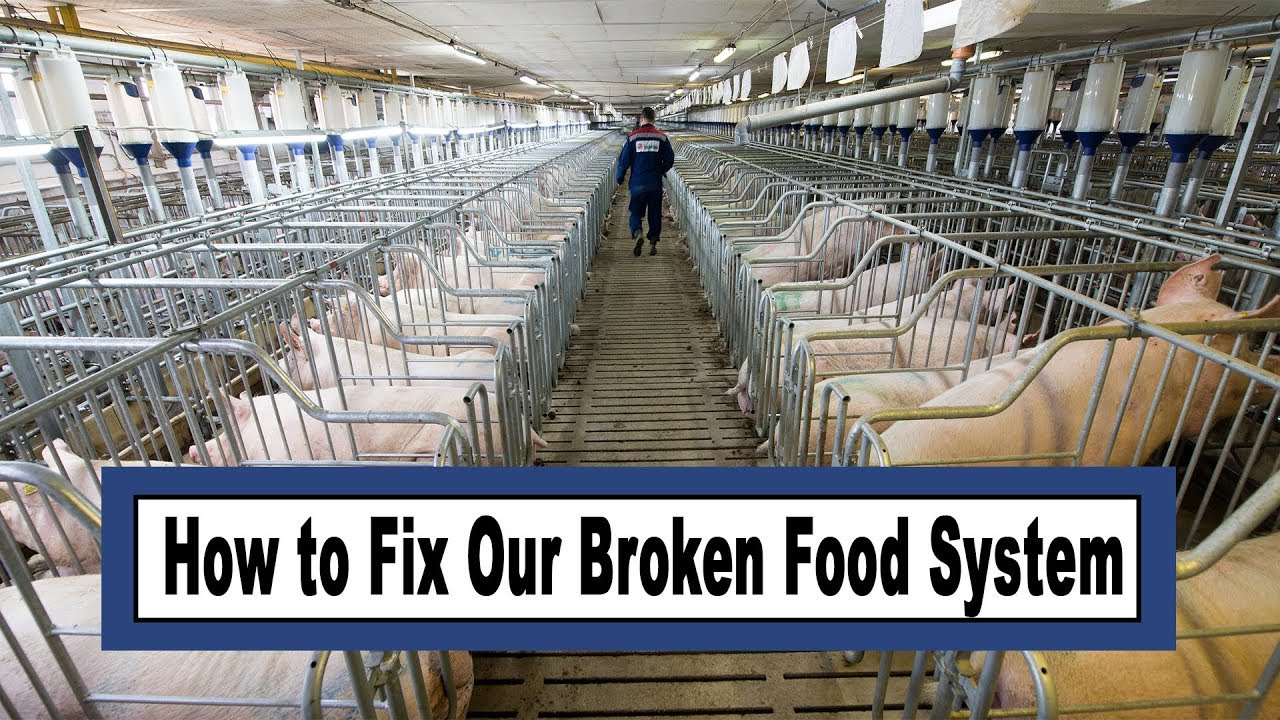 How To Fix Our Broken Food System