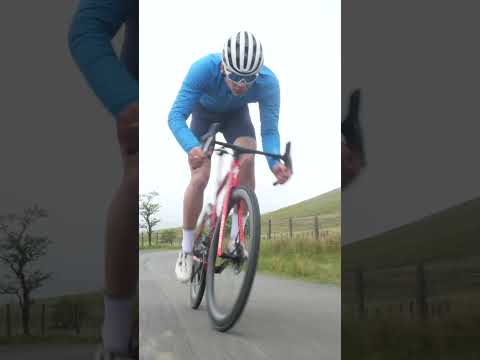We think the SL8 is a great bike for so many people #cycling #bikes #ytshorts #bicycles