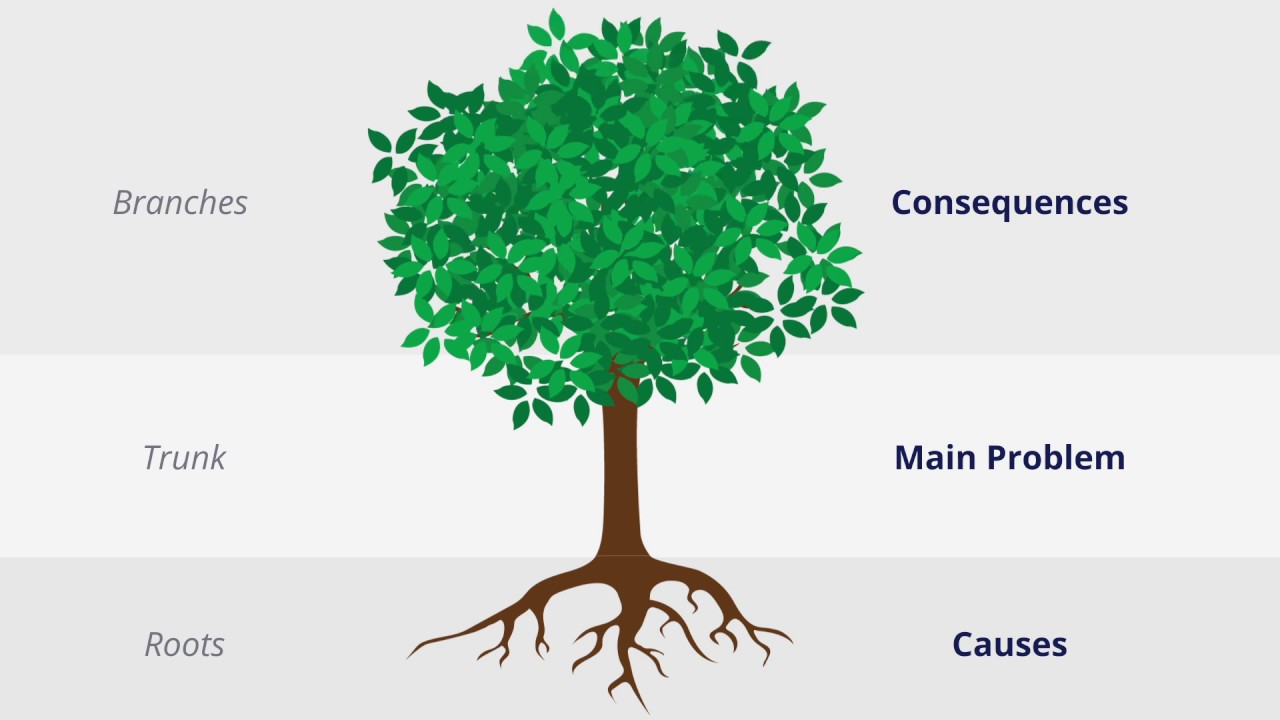 Step 1: Identifying the focal issue with ‘Problem Tree Analysis’ technique