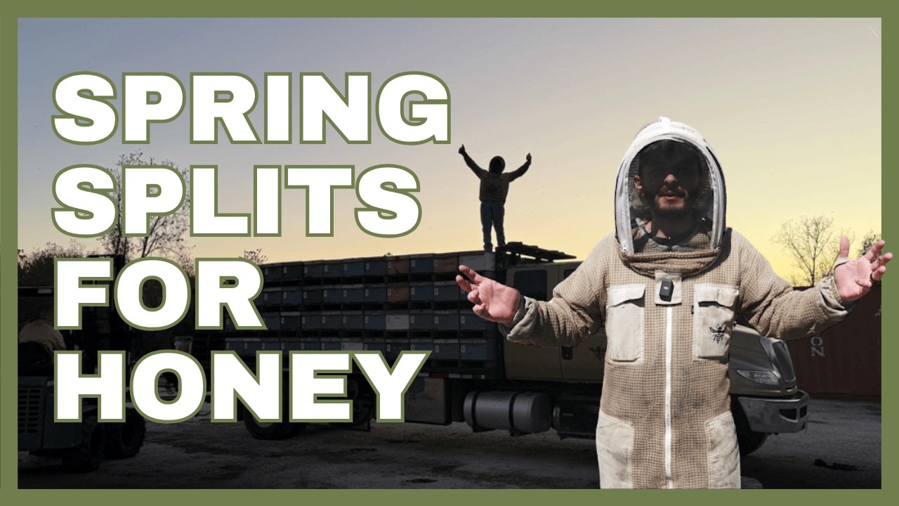How We Turn $80,000 in Bees into a Honey Crop