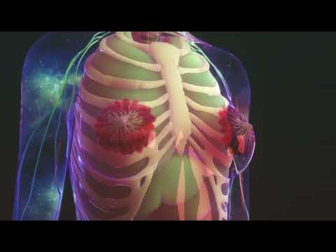 The Female Reproductive System | Merck Manual Consumer Version