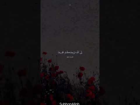 #quranverses #beautiful #like #share #subscribe #video #voice #allah #islam #flowers