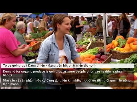 Part 24 Fluent English: Master Advanced Idioms English and vietnamese Definitions and Examples