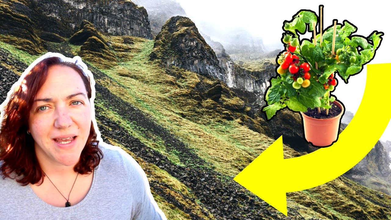Mastering Gardening On Steep Slopes: Tips For Success!