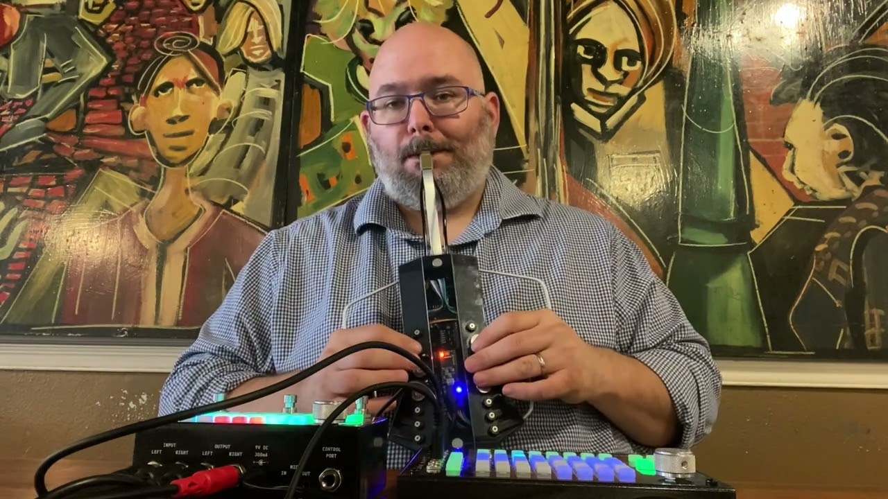 Loop Forest Improvisation | Dual ZOIAs | Berglund Instruments NuRAD