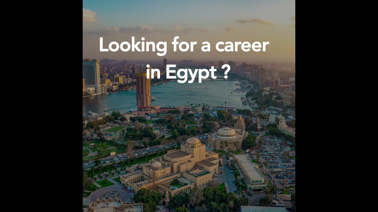 What are the most demanded jobs in Egypt?! Dr. Job Pro