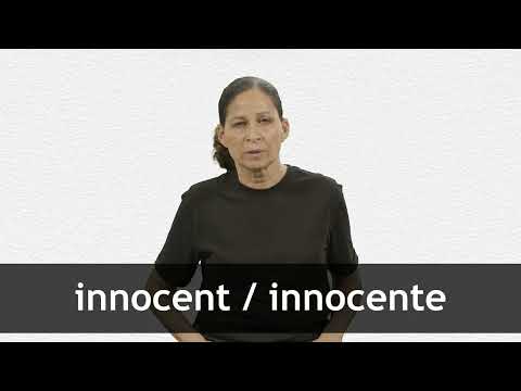 English Translation of “INNOCENT” | Collins French-English Dictionary