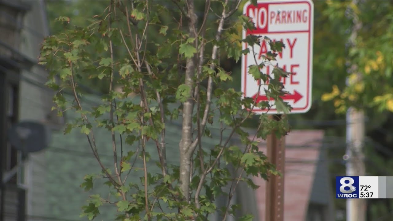 Federal and State grants fuel progress on Rochester’s Urban Forest Master Plan goals