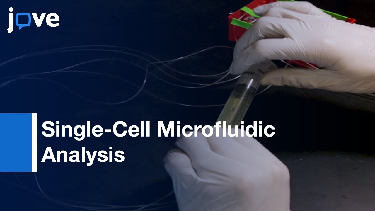 Single-Cell Microfluidic Analysis Of Bacillus subtilis l Protocol Preview