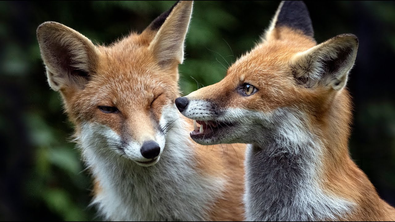 Who is the - General Discussion - World of Warcraft Forums