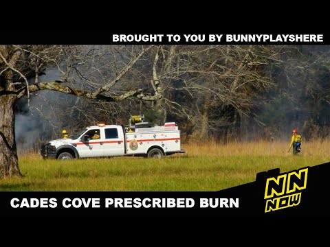 Prescribed Burn At Cades Cove | Smoky Mountain National Park News