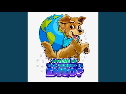 Where In The World Is Enzo