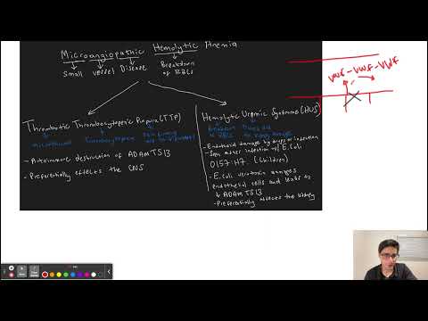 Microangiopathic Hemolytic Anemia: TTP and HUS