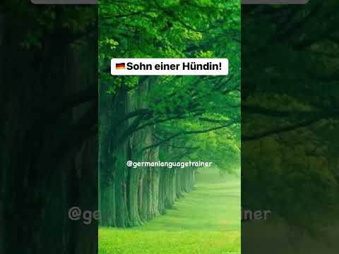 German Swear Words You Should Know