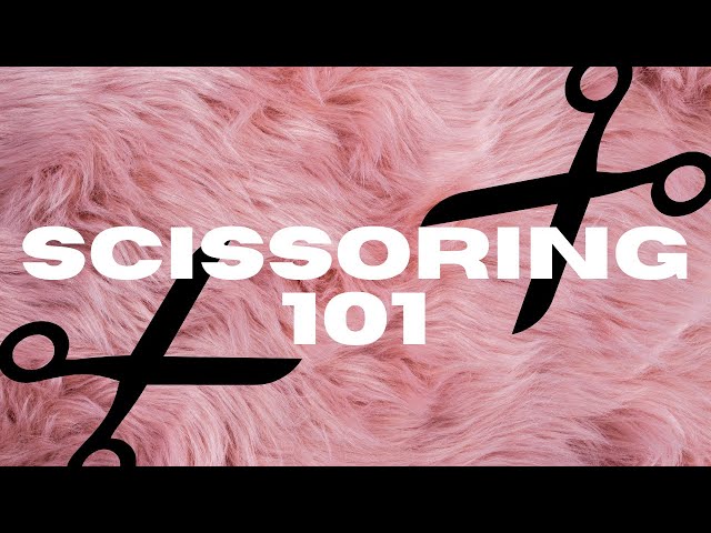 Understanding Scissoring Techniques Misconceptions And Tips For 6920