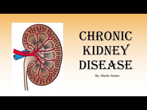 [Renal] Chronic kidney disease, KDIGO classification, treatment