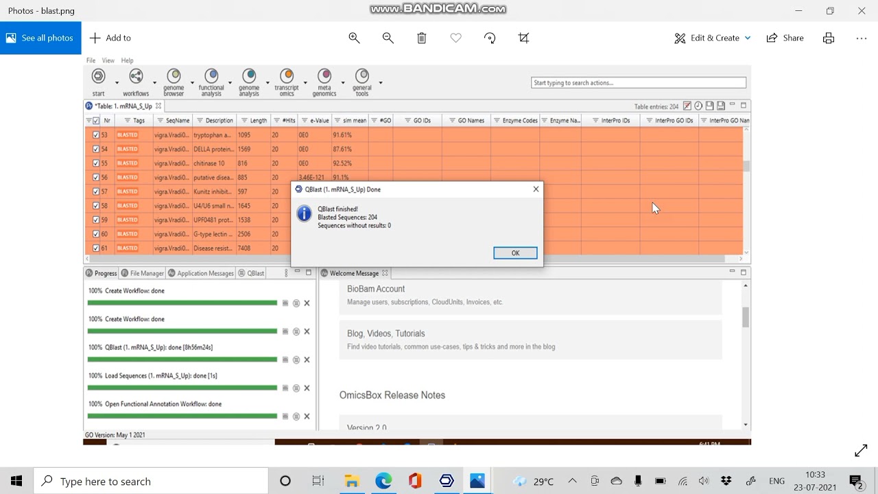 Functional annotation workflows with OmicsBox/Blast2GO