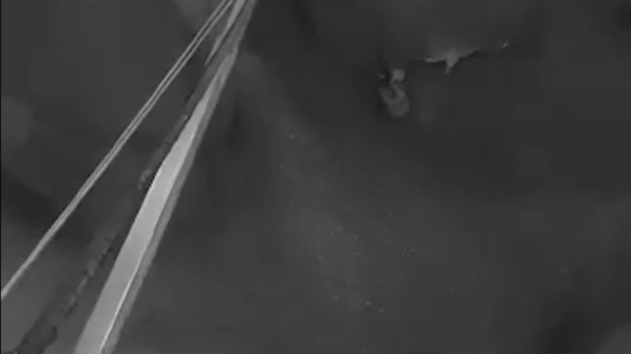 Silo Cleaning System