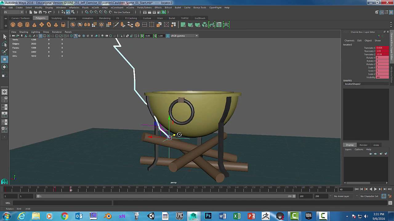 ANI 255 Cauldron Video 01
