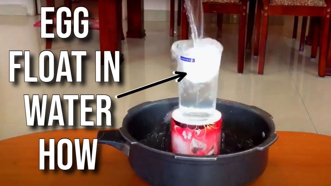 How to make Egg float in Water Science  Experiment - Bernoulli's Principle