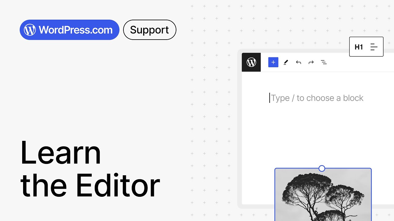 Learn the WordPress Editor