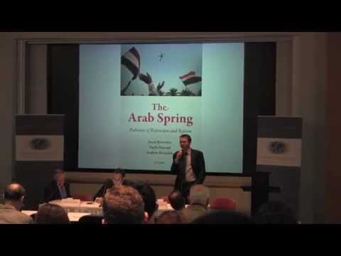 "The Arab Spring: Pathways of Repression and Reform" Session 1