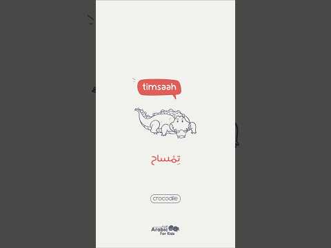 Let’s learn how to say “crocodile” 🐊 in Arabic.
