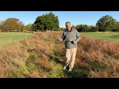 Penalty Areas - What are your options and how to take relief - USGA Rules 17.1 explained