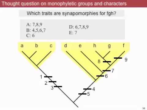 BIS2C 2012 Lecture 3: Characters in phylogeny