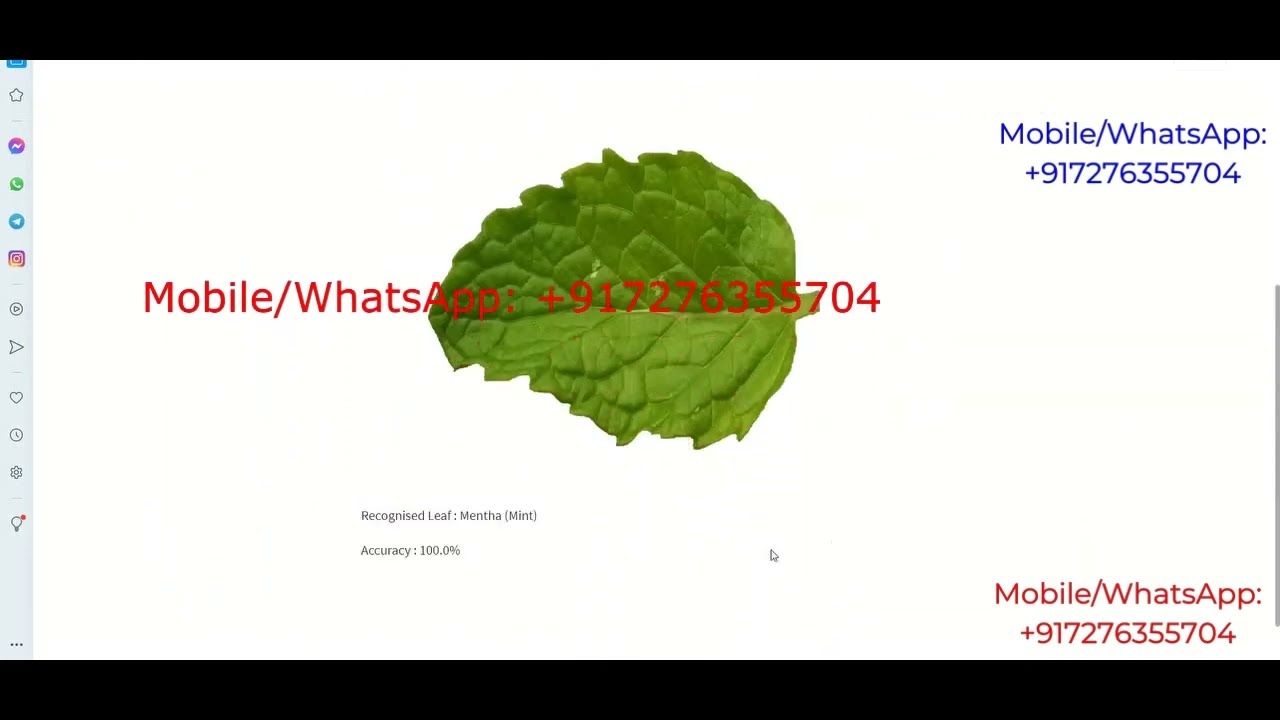 Types Of Medicinal Leaf Recognition Using Image Processing | Python Project With Source Code