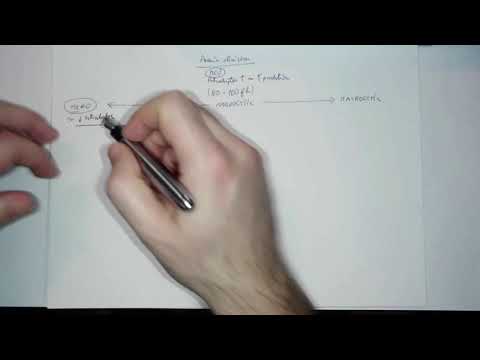 Types of anemia - general overview by Coiled in ENGLISH
